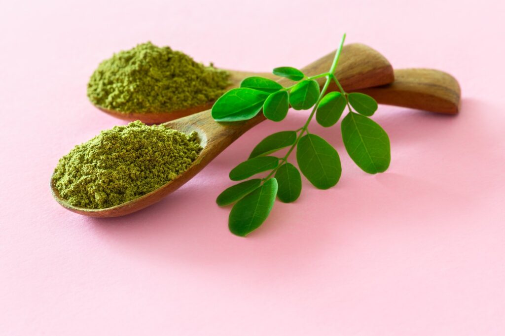 How to Make Moringa Powder at Home - Moringa With Barry